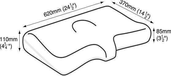 Posture Plus - Best Pillows